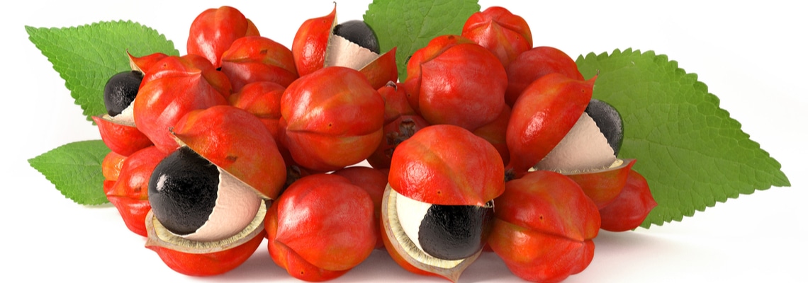 Le guarana bio en complément alimentaire